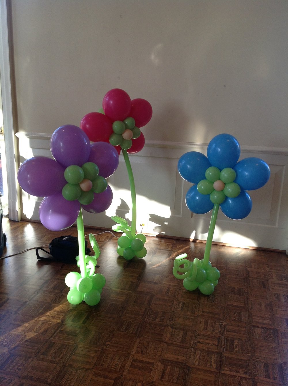 Miscellaneous Photo Gallery | Rainbow Balloon Company